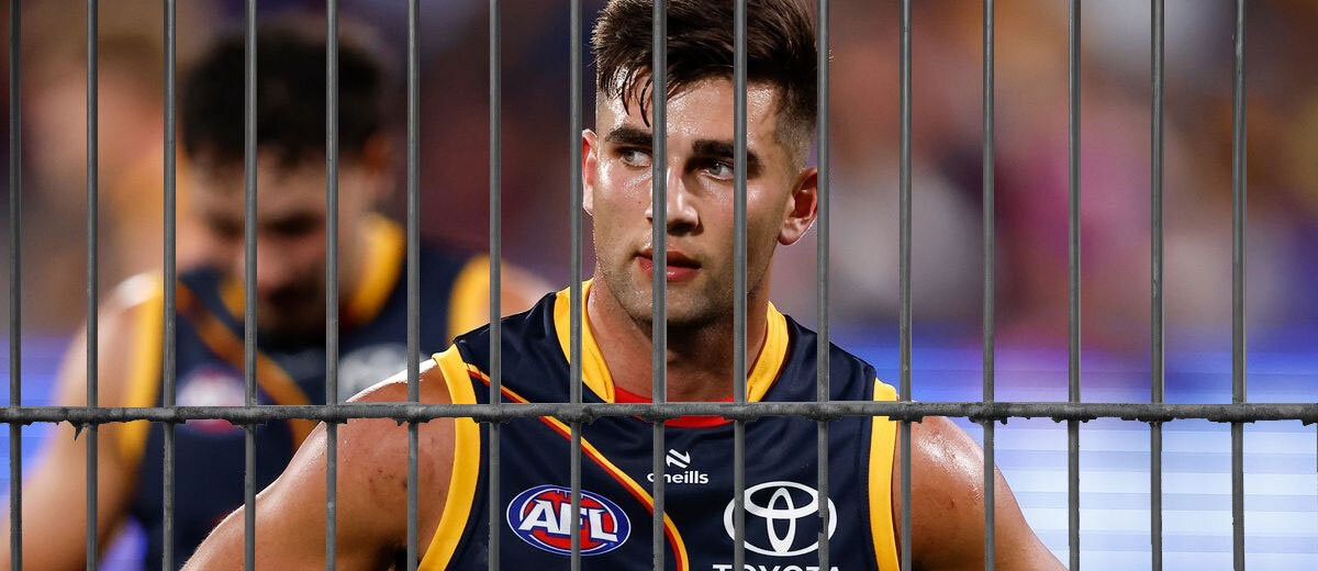 Player Watch - Josh Rachele - Cleared of ACL Injury | Page 173 ...