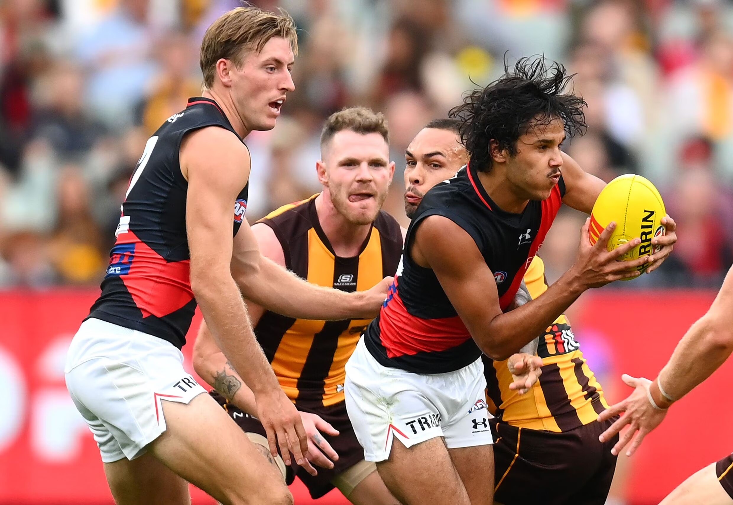 AFL Player - #33: Alwyn Davey Jr - Minor knee surgery - 4 to 6 weeks ...