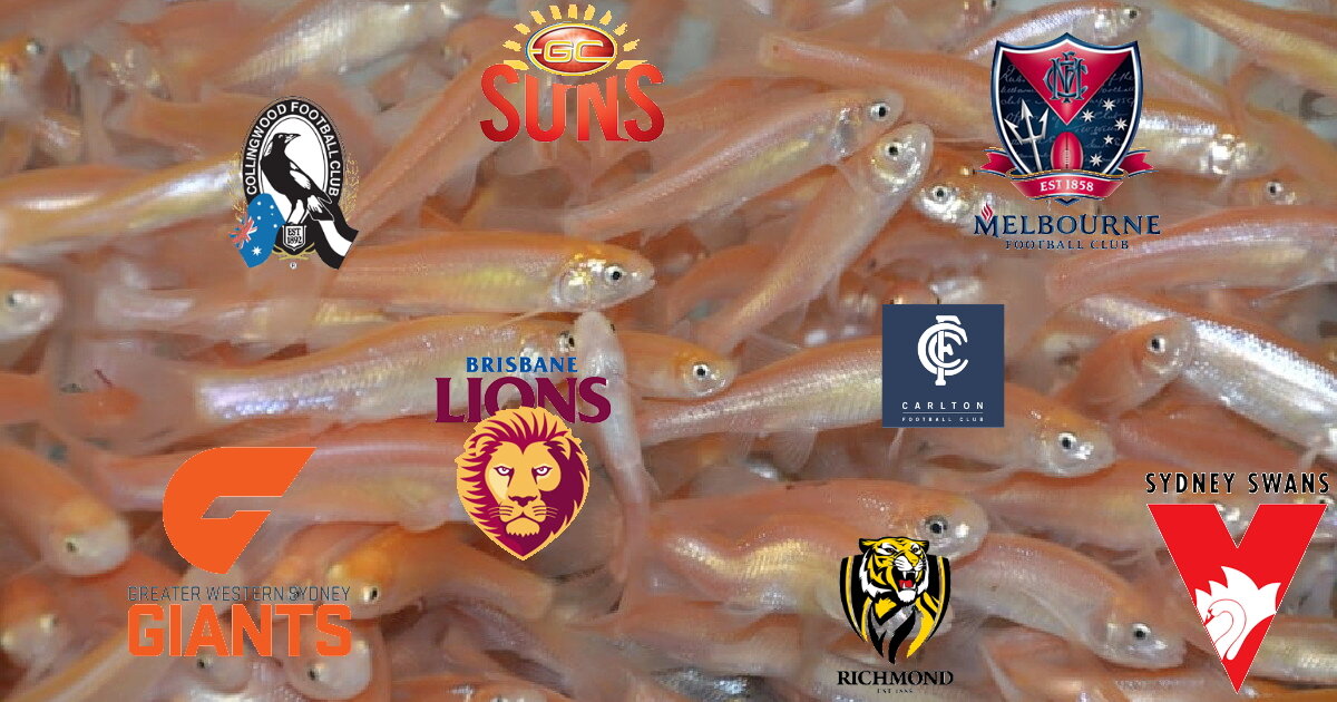 Fixture - Reminder, if your club is playing in 'Opening Round' aka ...