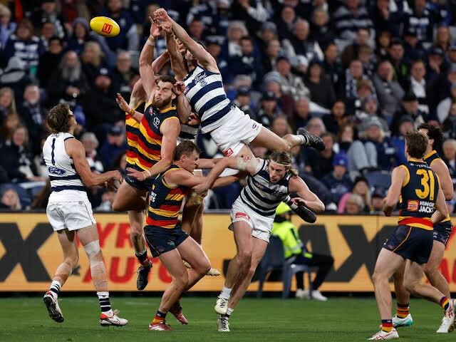 Game Day - Crows vs Cats - Gather Round | BigFooty Forum