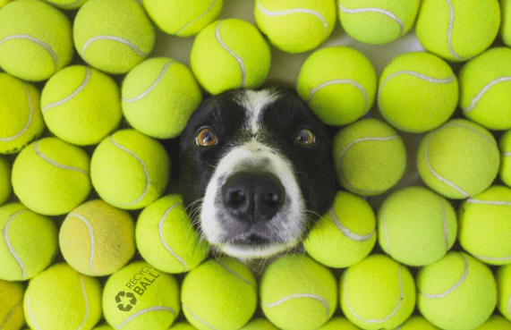 Post here if you have 5 green balls 🟢🟢🟢🟢🟢 | BigFooty Forum