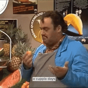 con-the-fruiterer-couple-of-days (1).gif | BigFooty Forum