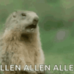 chipmunk-scream.gif | BigFooty Forum