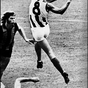 5D08C37A-55A5-4A3F-A621-DB8D3008E96C.jpeg | BigFooty Forum