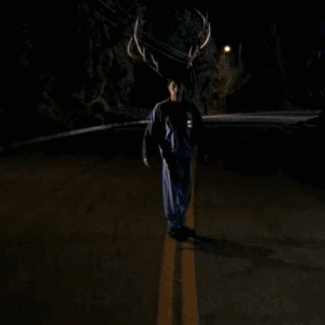 deer-in-headlights-gif-10.gif | BigFooty Forum
