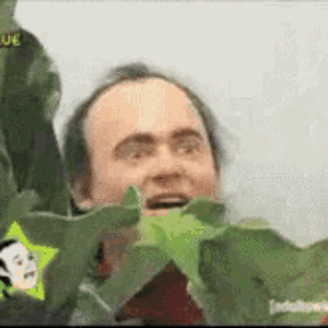 creepy-guy-behind-plant.gif | BigFooty Forum