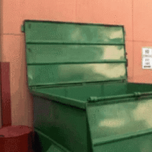 Man thrown Dumpster.gif | BigFooty Forum