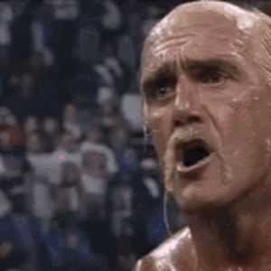 hulk-hogan-shock.gif | BigFooty Forum