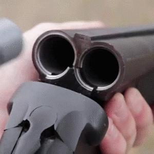 gun-db-shotgun.gif | BigFooty Forum